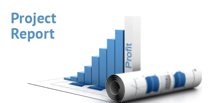 Project Management Monthly Reporting Procedure & Formats - Project ...
